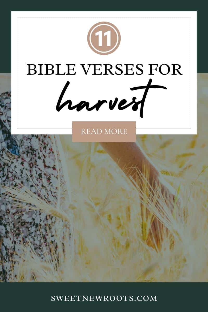 11 Bible Verses About Harvest - Faith + Family - Sweet New Roots