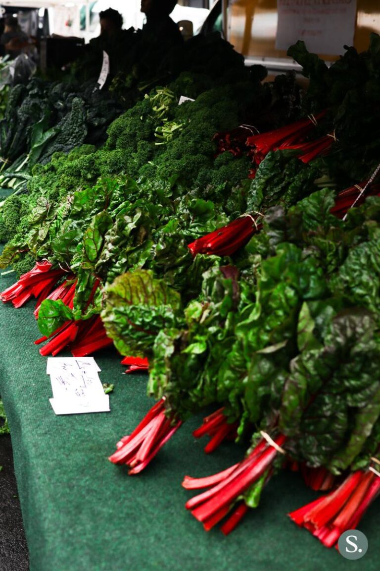 A Guide to Rainbow Chard - Wellness - Sweet New Roots